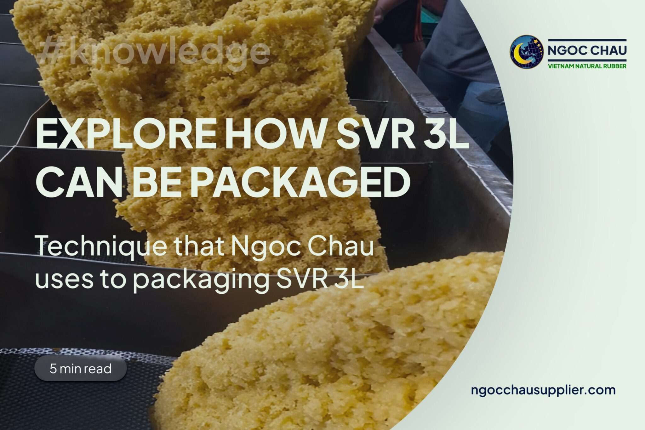 Packaging SVR 3L Rubber: A Comprehensive Guide to
