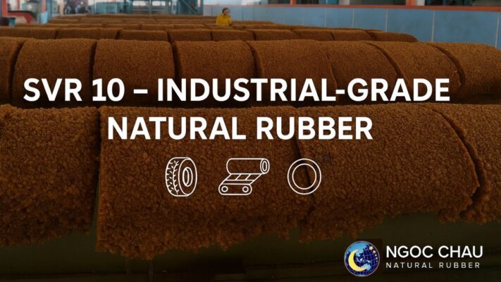 SVR 10 Natural Rubber | Vietnam Export Supplier - Ngoc Chau