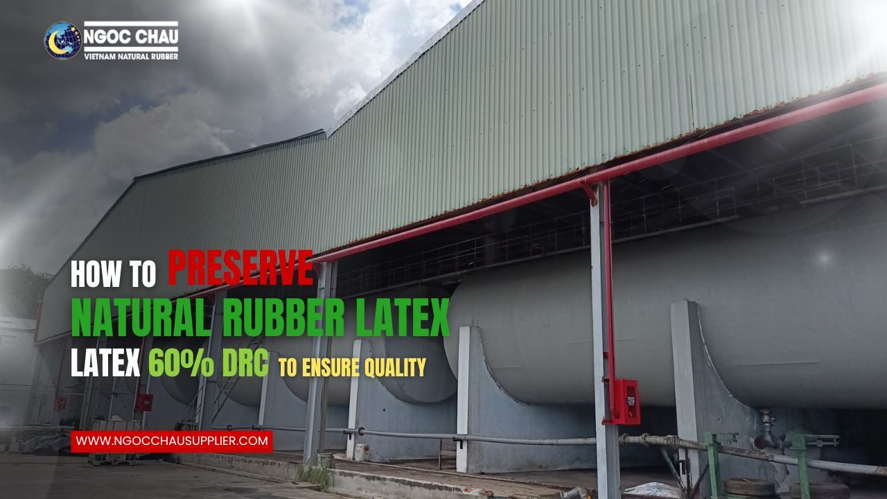 How to Preserve Natural Rubber Latex 60% DRC to Ensure Quality
